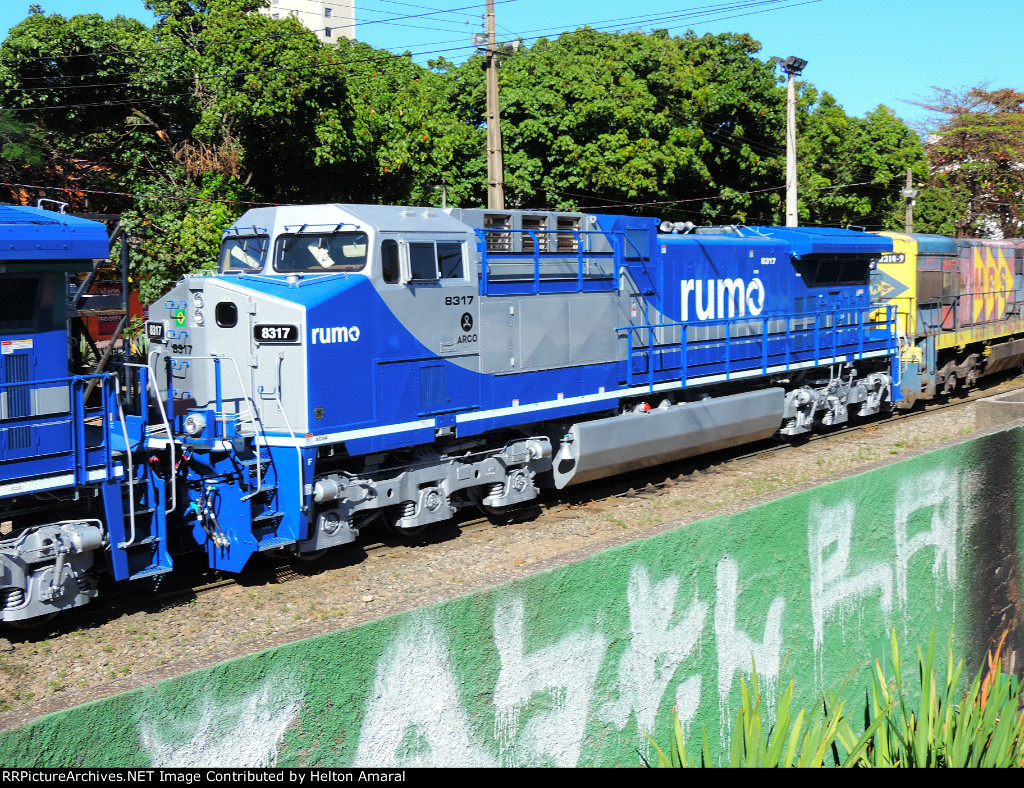 RUMO 8317